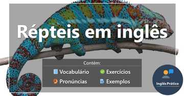 Insetos em inglês com pronúncia e atividades - Inglês Prático
